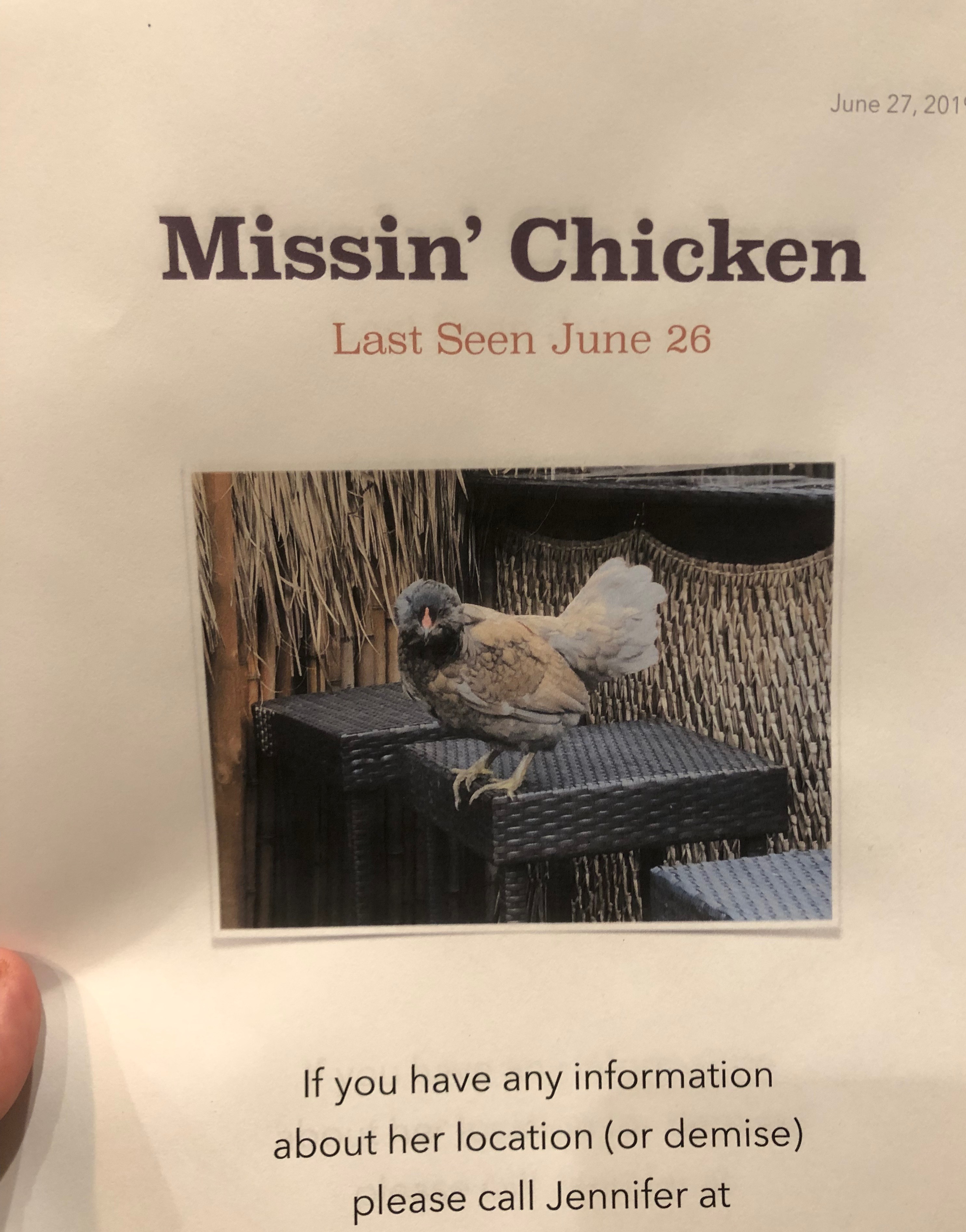 Lottery – Accidental Chicken